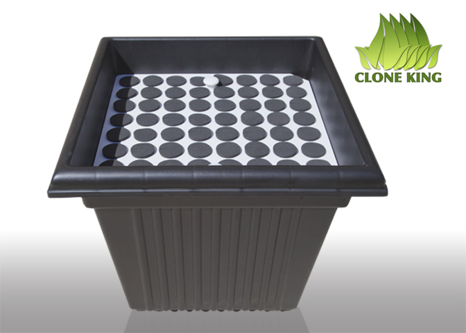 Plant Cloner Two (2) Clone King 36-Site Aeroponic Cloning Machines – Complete Systems For High ...